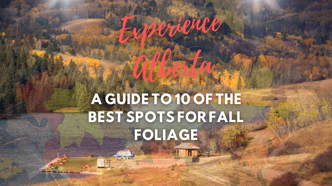Experience Alberta: A Guide to 10 of the Best Spots for Fall Foliage ...