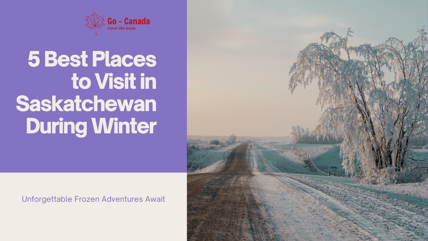 5 Best Places to Visit in Saskatchewan During Winter: Unforgettable Frozen Adventures Await - Go ...