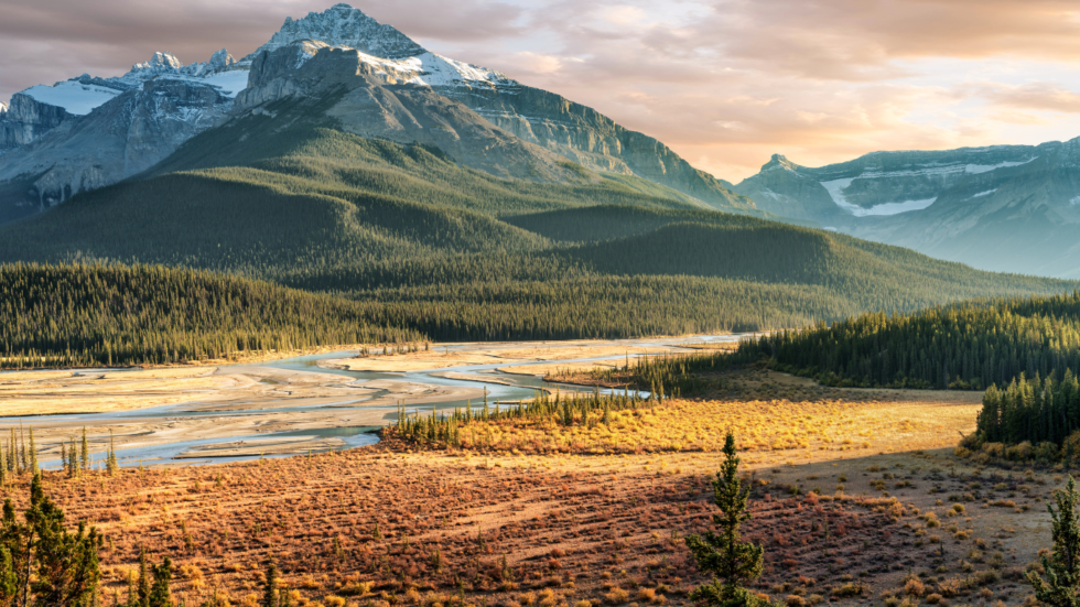 The 6 Most Breathtaking Scenic Fall Drives to Take in Alberta - Go - Canada