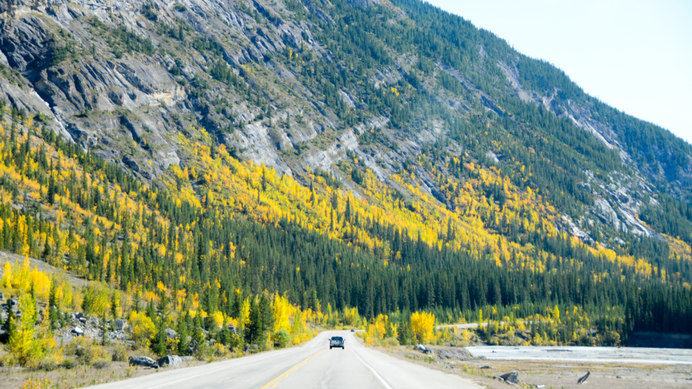 The 6 Most Breathtaking Scenic Fall Drives to Take in Alberta - Go - Canada