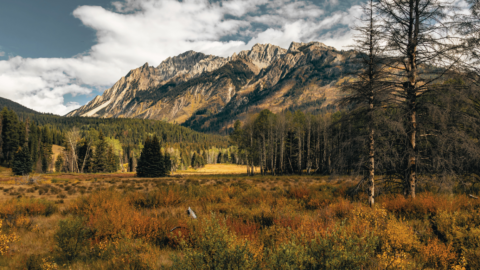 The 6 Most Breathtaking Scenic Fall Drives to Take in Alberta - Go - Canada