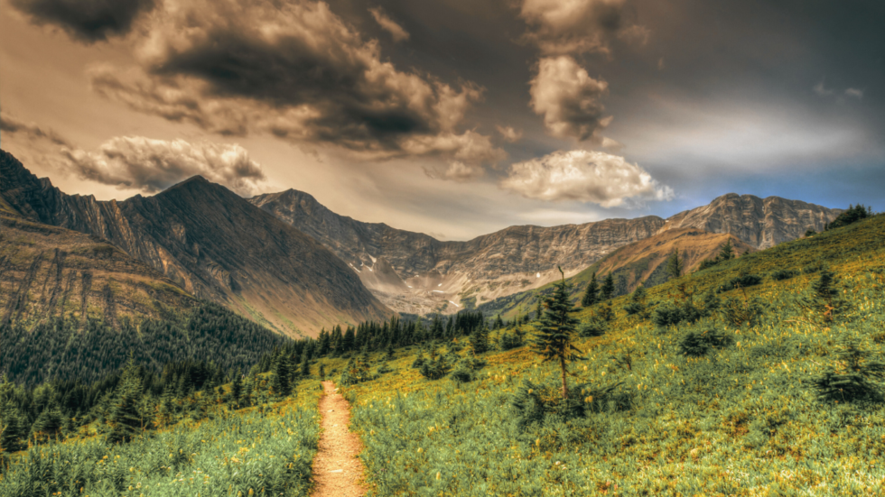 The 6 Most Breathtaking Scenic Fall Drives to Take in Alberta - Go - Canada