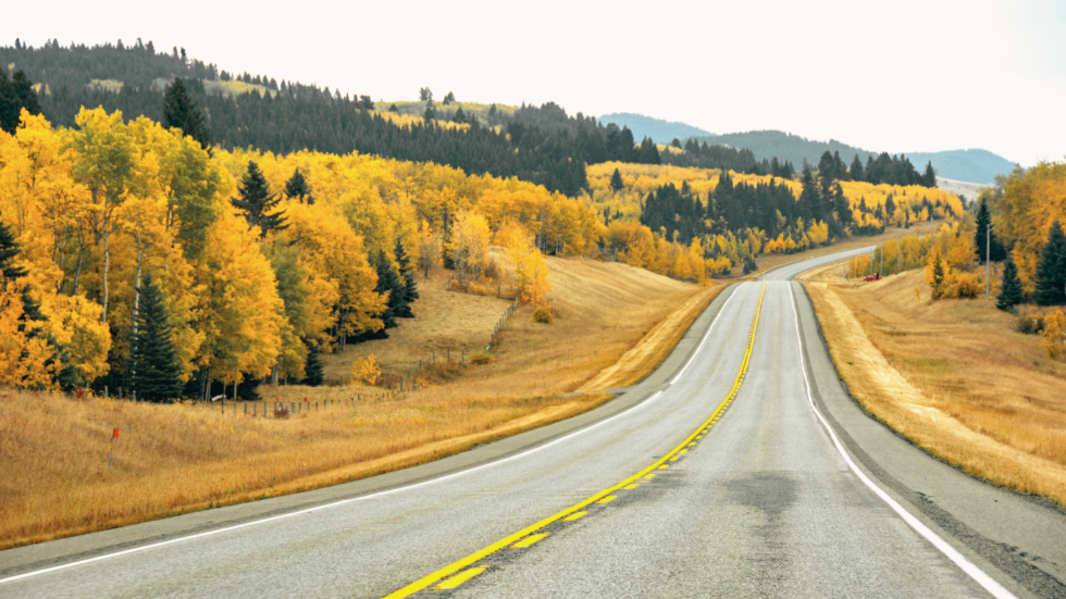The 6 Most Breathtaking Scenic Fall Drives to Take in Alberta - Go - Canada