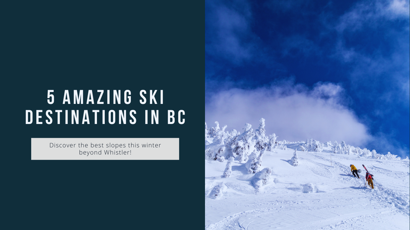 5 Amazing Ski Destinations in BC Beyond Whistler You Need to Check Out ...